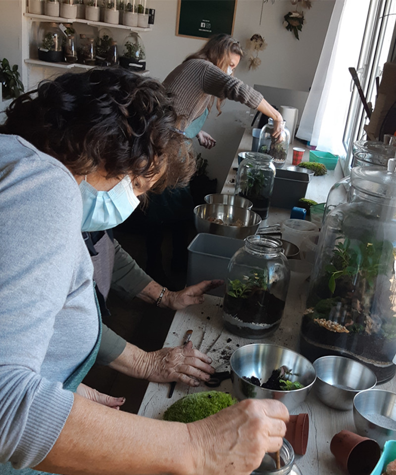 BON CADEAU ATELIER TERRARIUM